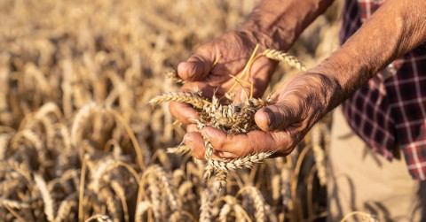 How to avoid selling below cost | Desjardins