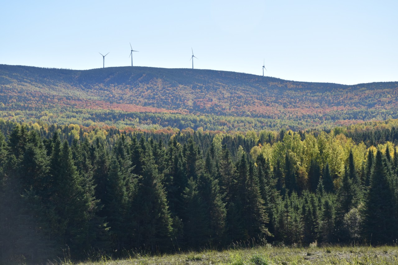 Energy transition: One step at a time - Desjardins