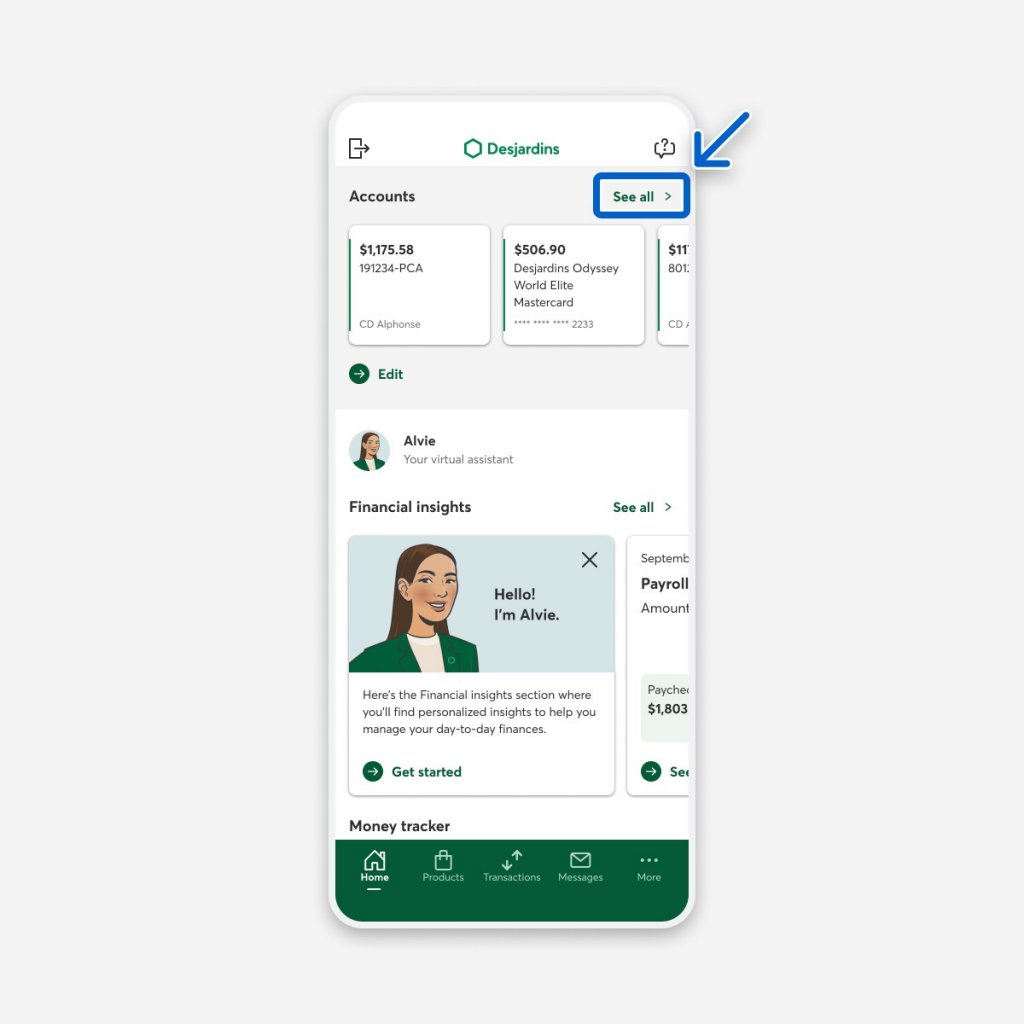 void cheque desjardins