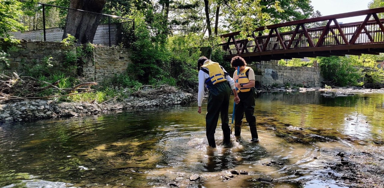 Desjardins Group and TELUS Friendly Future Foundation team up to ...