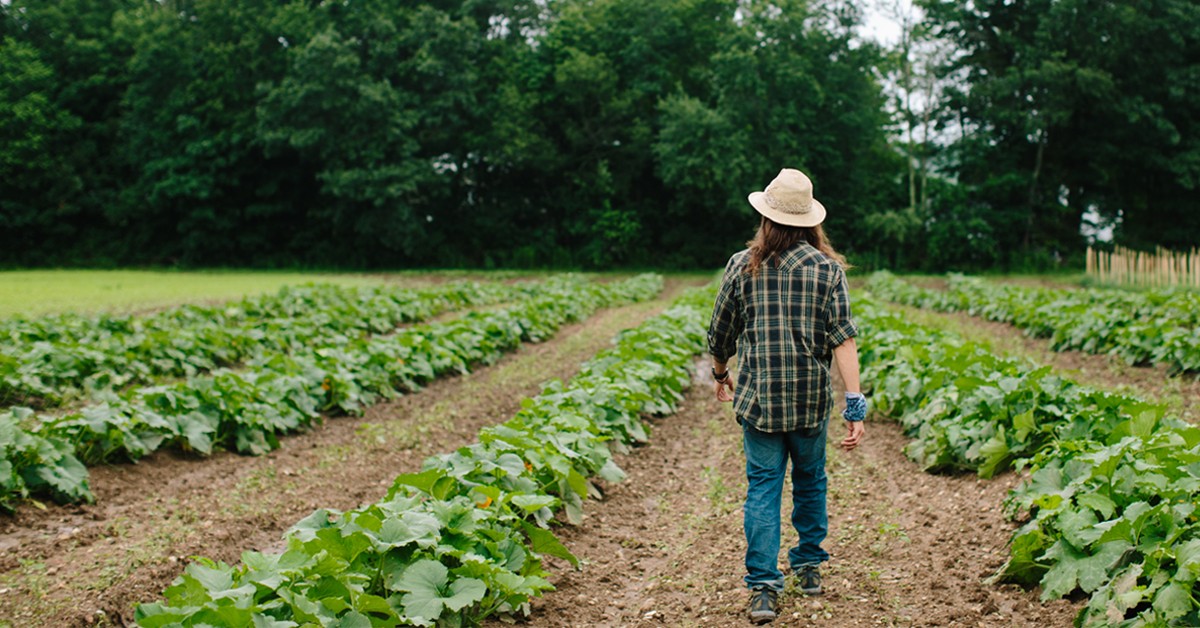 Préparer son passage de la production à la transformation en 6 étapes ...